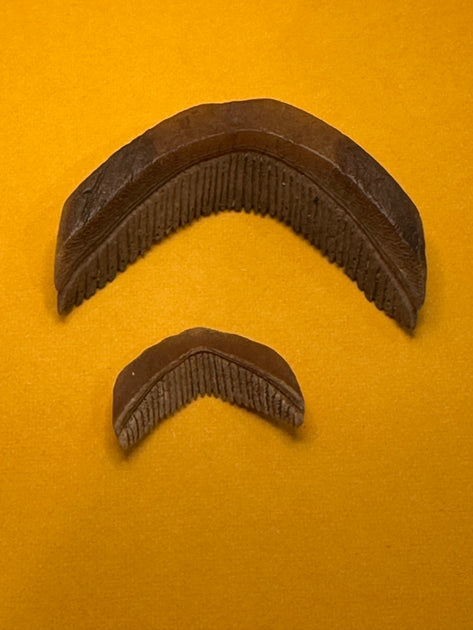 Fossilized Eagle Ray Plate Duo | Loving Coastal Living