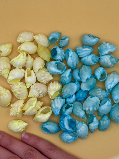 Dyed Pastel Yellow Cornball Shells – 1" Craft & Decor Shells | Loving ...
