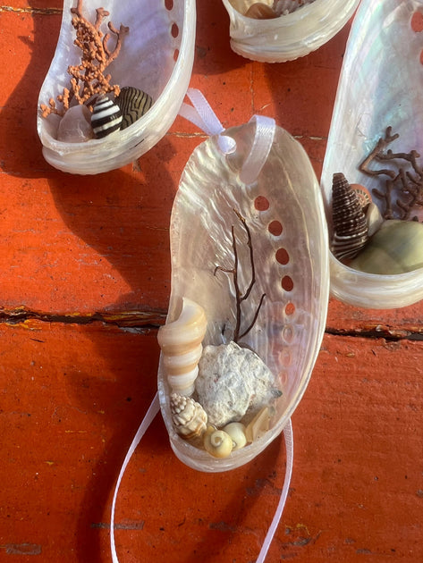 Abalone Shell Ornament - Pearl or Silver | Handmade Coastal Decor ...