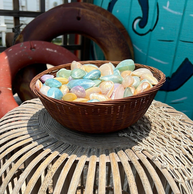 Polished Colored Rainbow Pastel Clam Shell Pairs | Loving Coastal Living