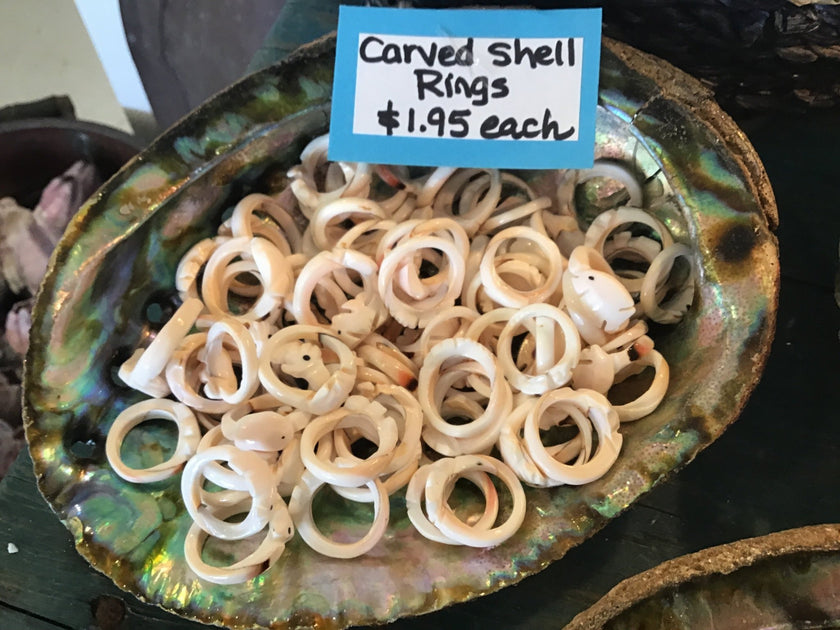 Carved shell rings | Loving Coastal Living