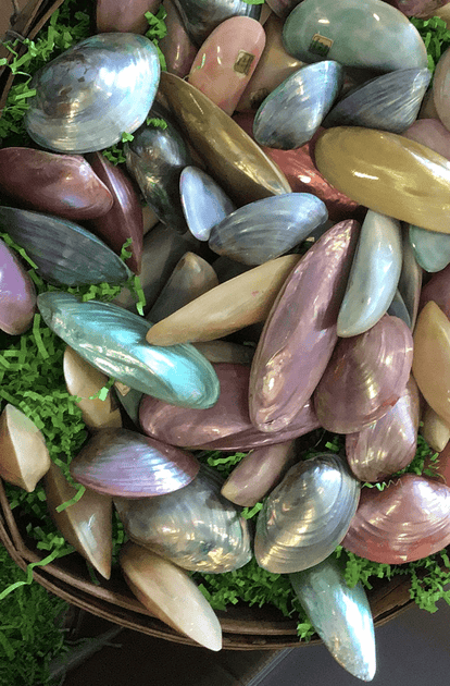 Easter Egg Shell- Polished Dyed Pastel Pearl Clams | Loving Coastal Living