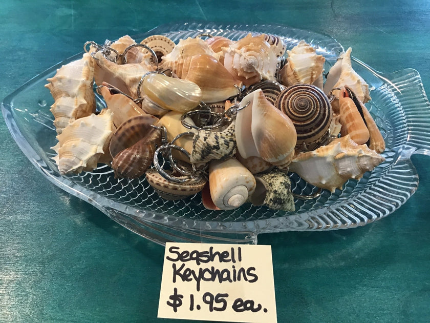 Seashell shell keychains | Loving Coastal Living